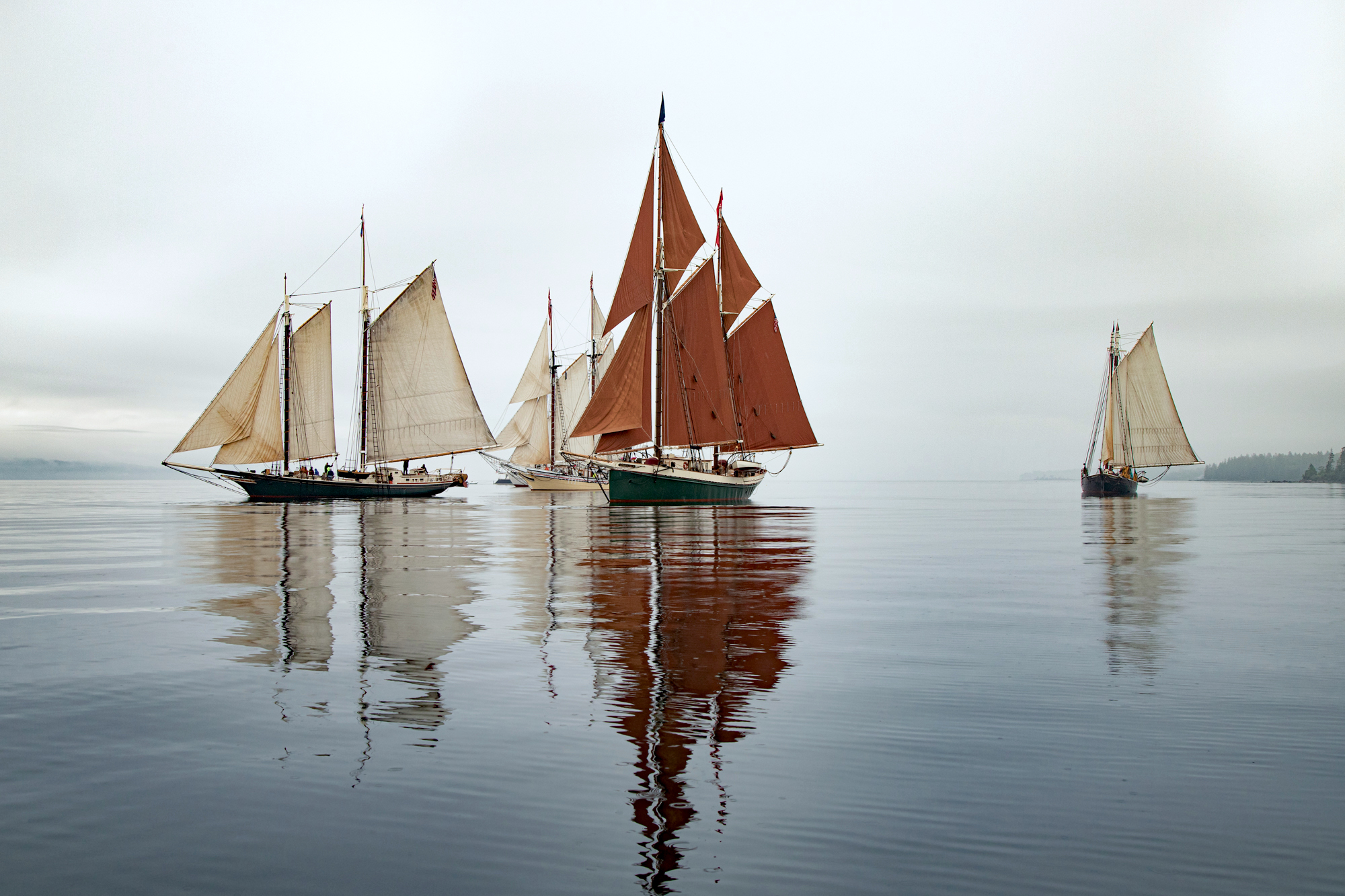 Chase The Great Schooner Race - Coastal Maine Photo Tours